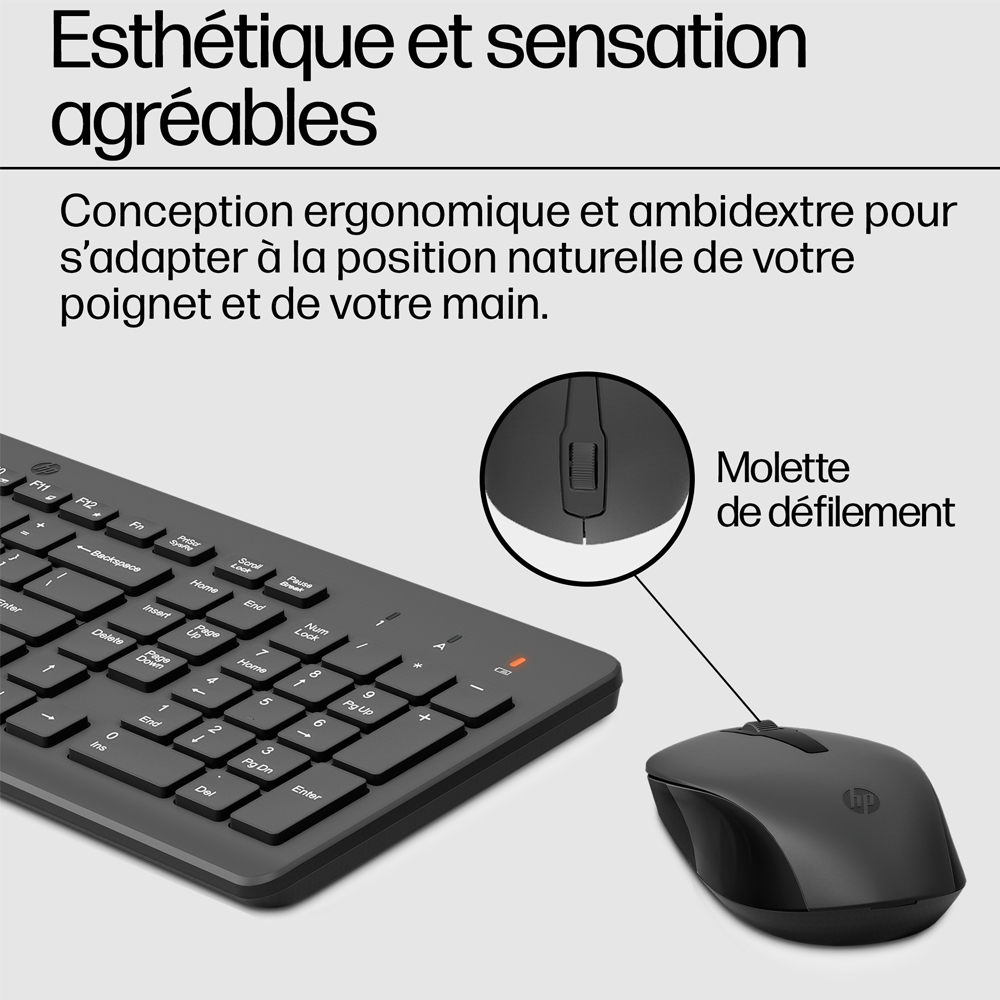 COMBINAISON SOURIS ET CLAVIER SANS FIL HP 330 (2V9E6AA) – ExpertBuy